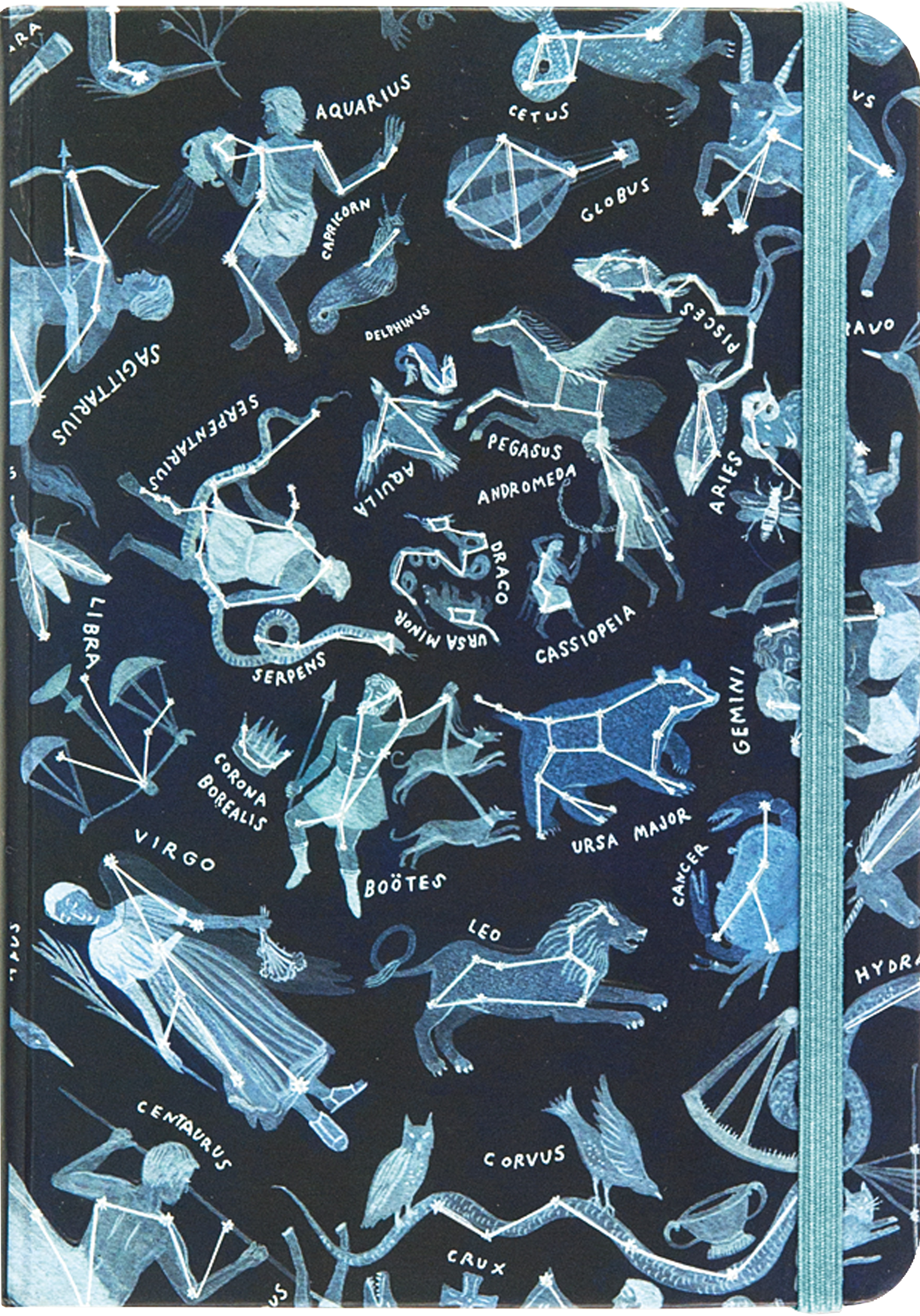 Constellations Journal – The Purple Ostrich